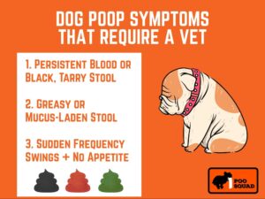 Dog Poop Meaning: What Your Dog’s Poop Says About Health