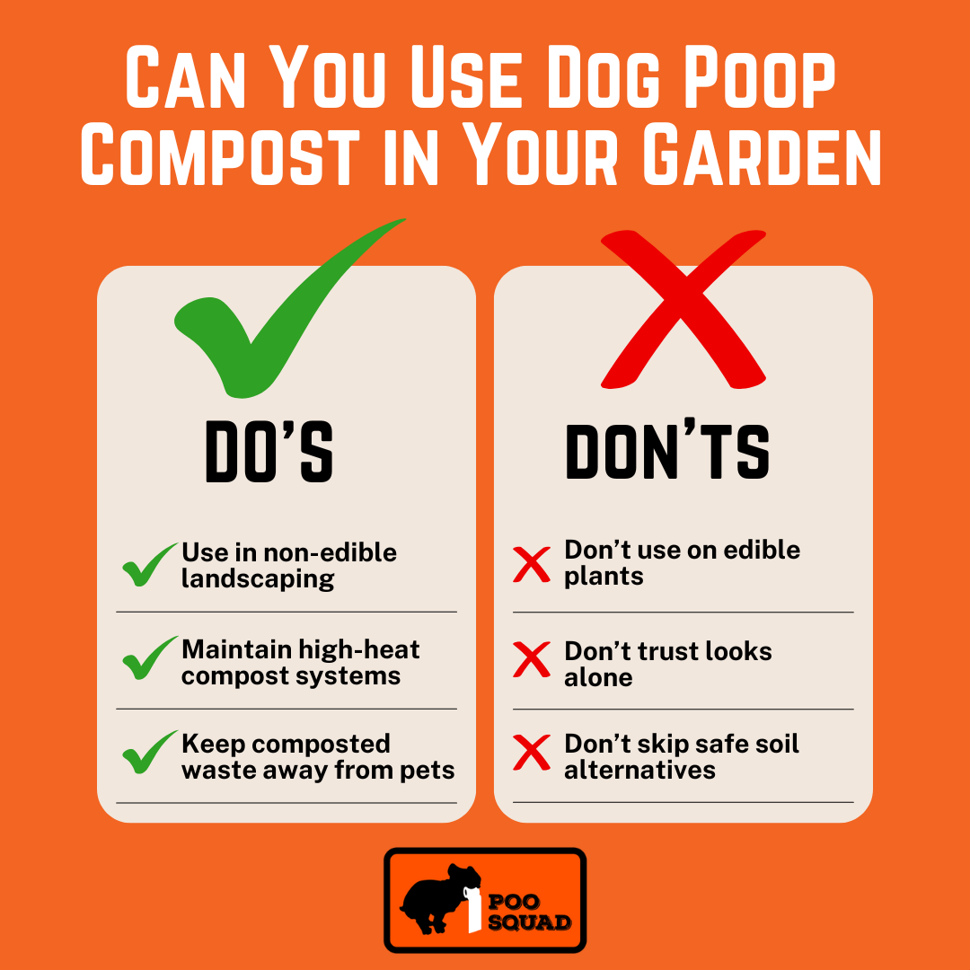 Can You Compost Dog Poop Safely? What Most People Get Wrong