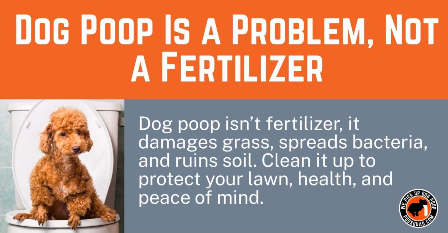 How to Stop a Neighbor’s Dog from Pooping in Your Yard