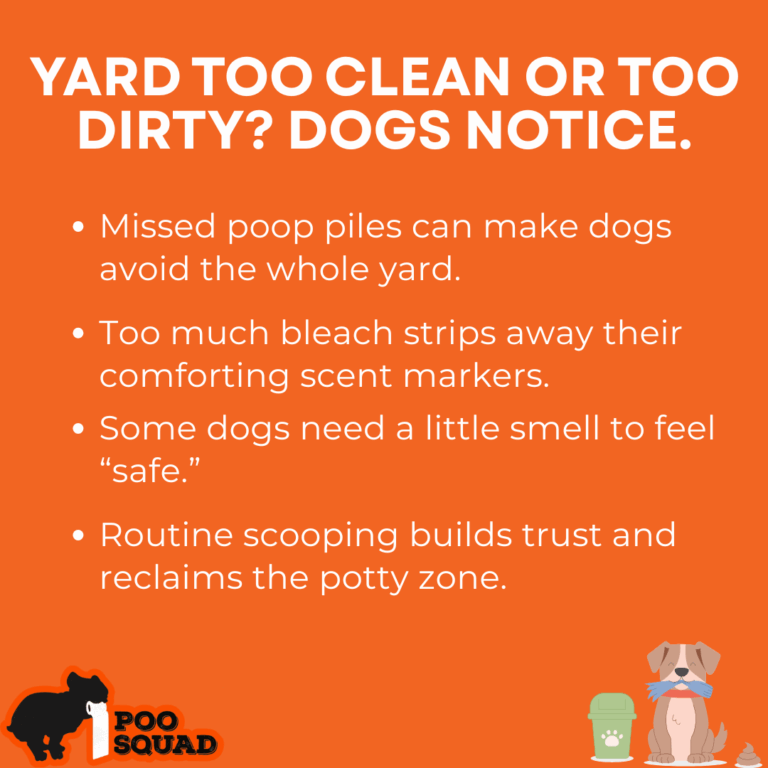 Why Your Dog Won’t Poop in the Yard (And How to Fix It)