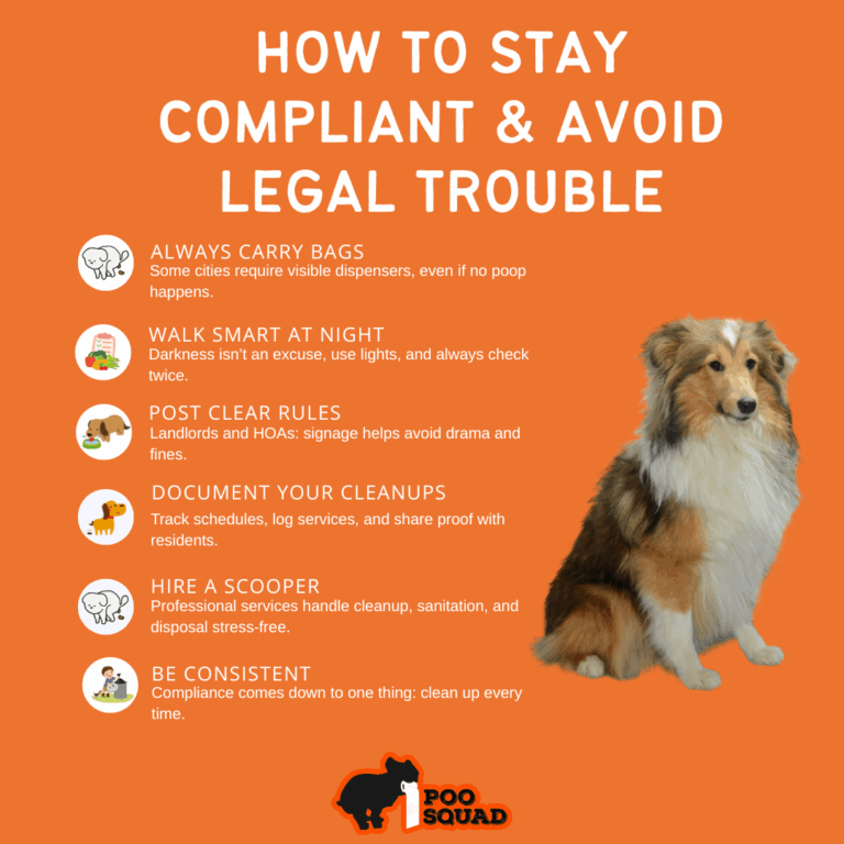 Dog Poop Laws by State: Fines & Rules