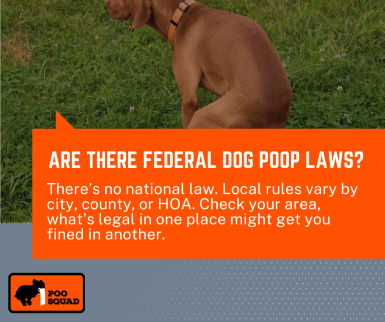 Dog Poop Laws by State: Fines & Rules