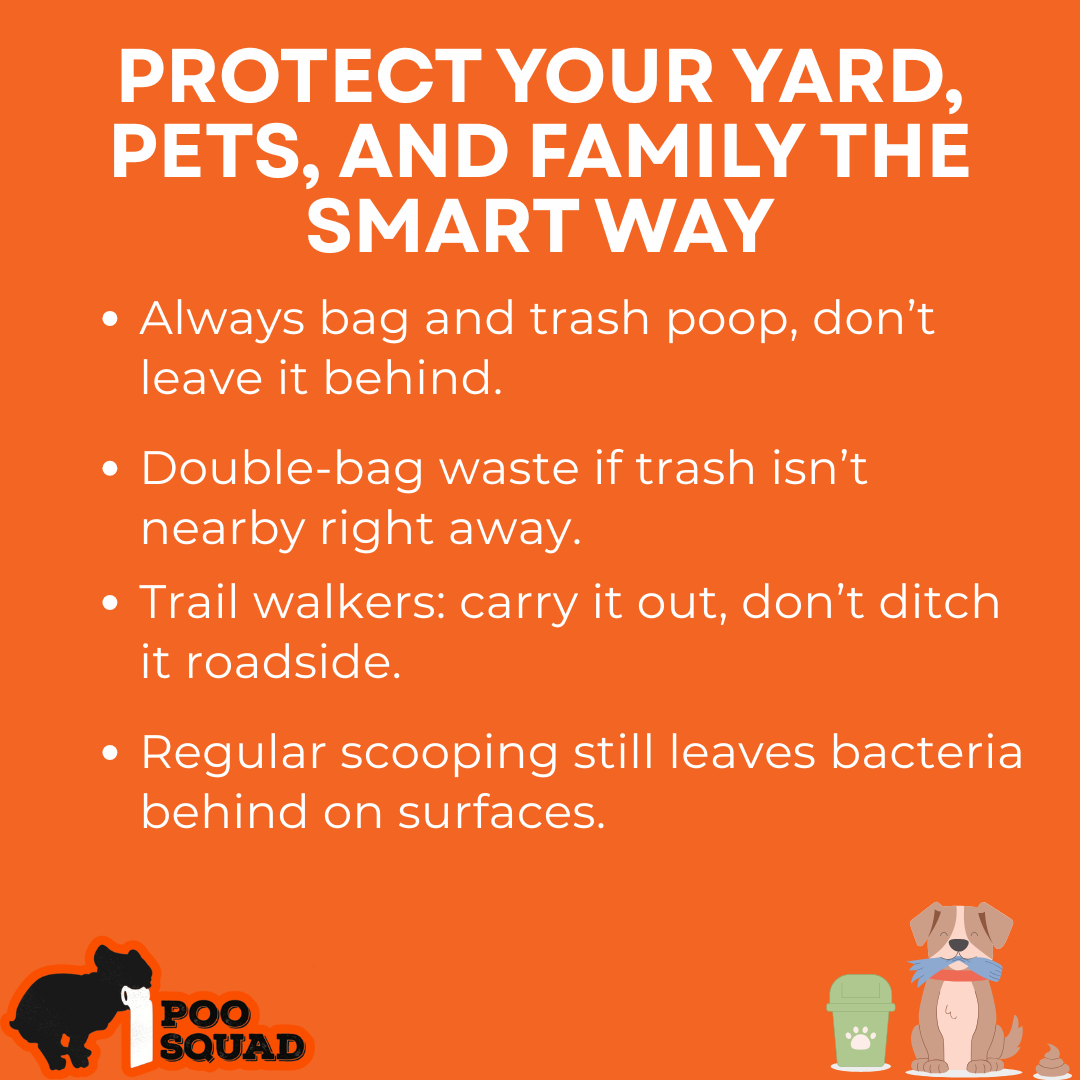 Are Bacteria in Dog Poop Dangerous? Health & Safety Guide