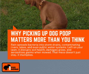 Dog Poop’s Environmental Impact: The Dirty Truth