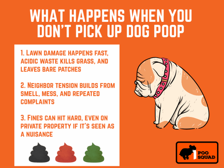 Should You Pick Up Dog Poop in Your Yard? Yes, Here’s Why