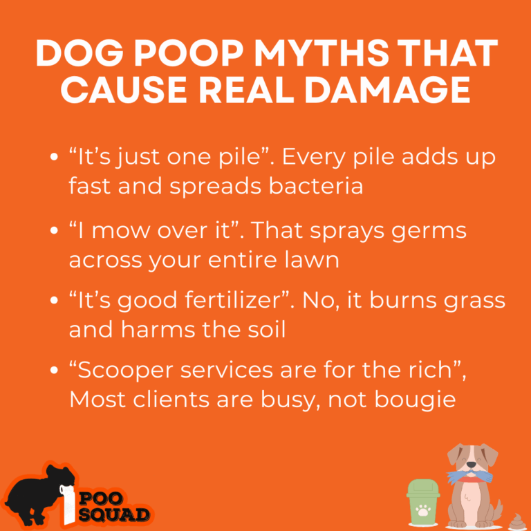 Dog Poop’s Environmental Impact: The Dirty Truth