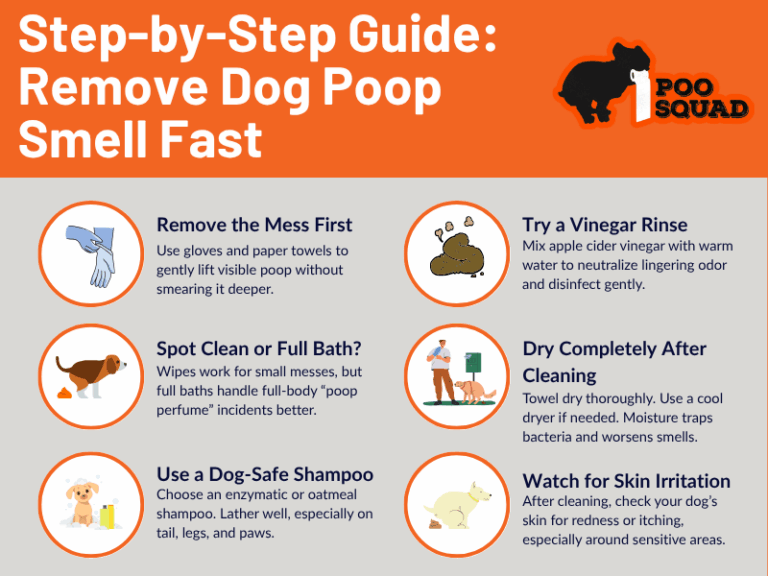 How to Get Poop Smell Off Dog Safely and Fast