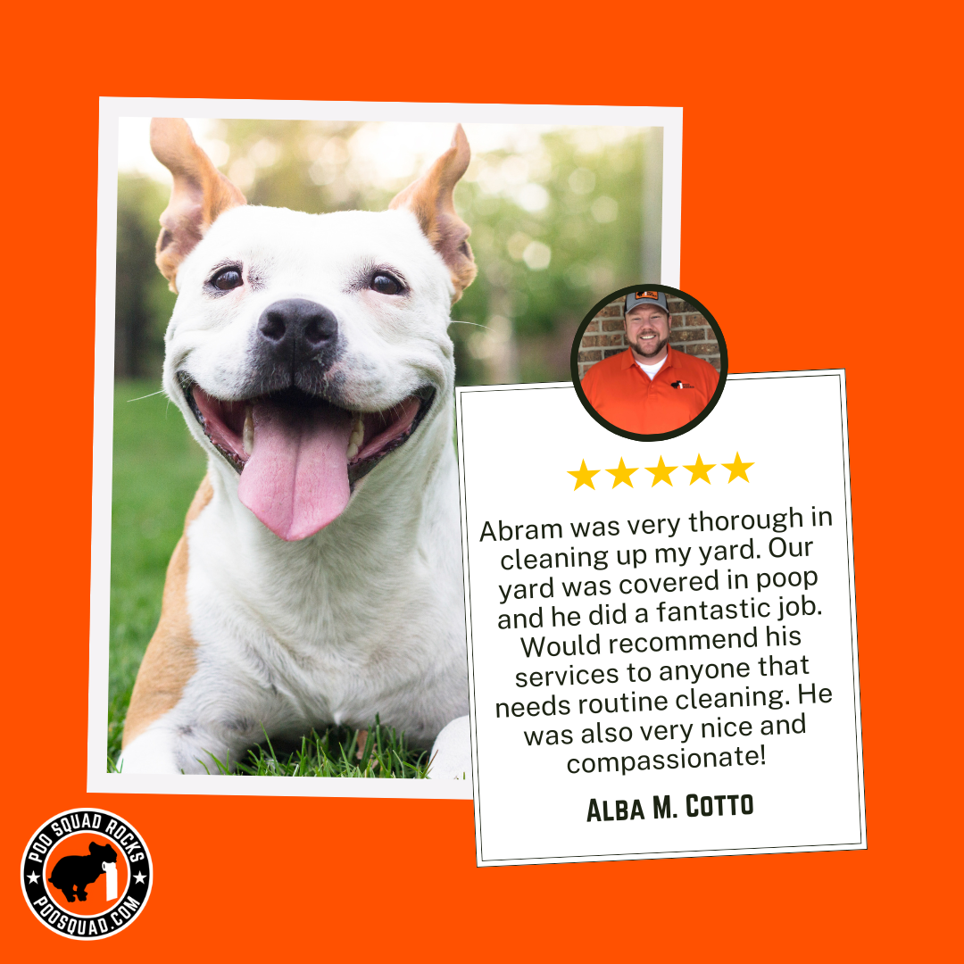 How to Get Poop Smell Off Hands (That Actually Works)