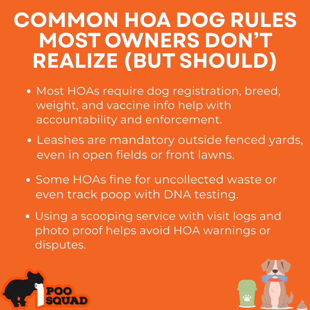 HOA Dog Rules: What Pet Owners Need to Know in 2025