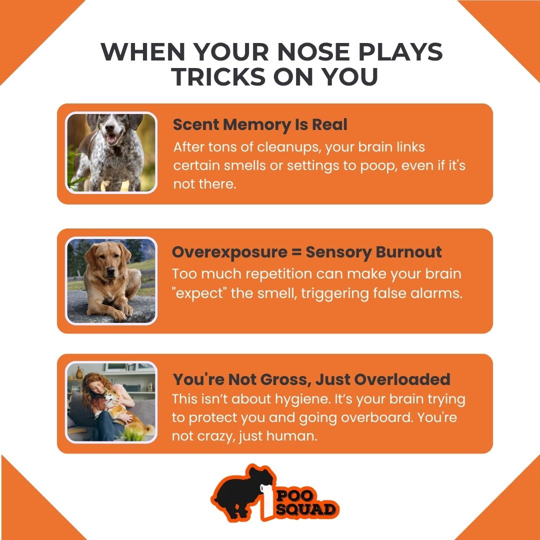 How to Get Poop Smell Off Hands (That Actually Works)